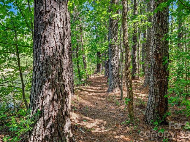 102 Antioch Plantation Road