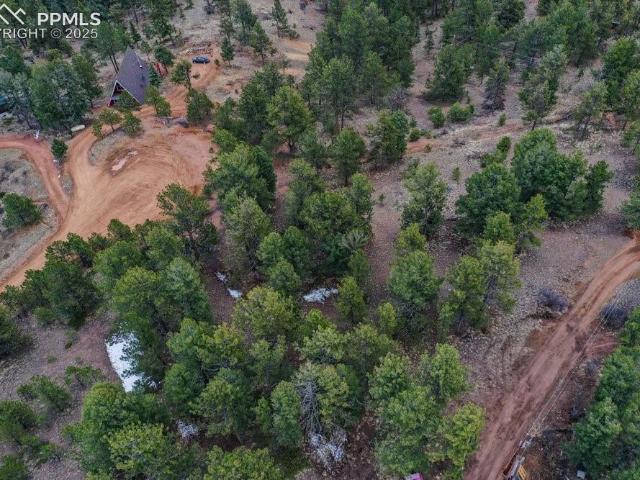 102 Blue Bell Circle