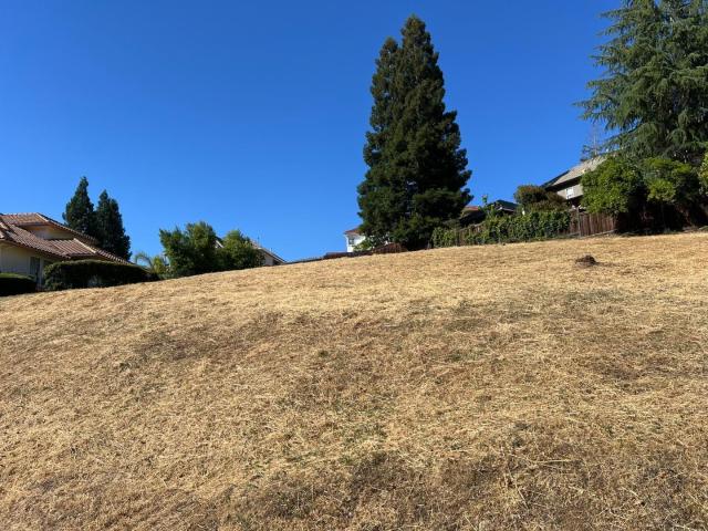 102 Black Gold Ln, Folsom, CA 95630 | MLS #ML82041