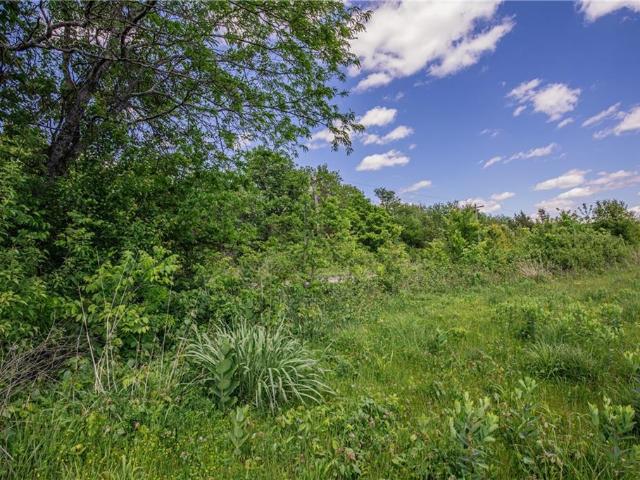 102 Branch Drive