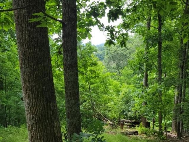 102 Ginger Hollow Road