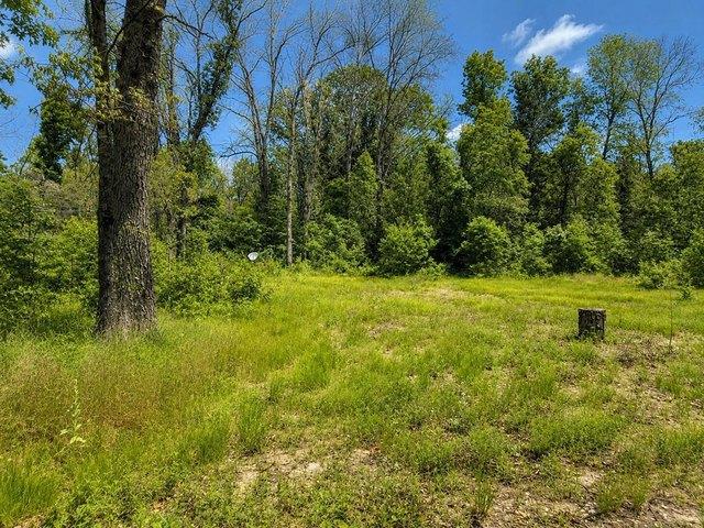 102 E Peoria Ave, Idlewild, MI 49642