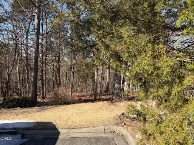 102 Jolyn Pl, Chapel Hill, NC 27517 | MLS #10147