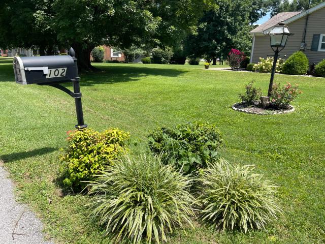102 Maplewood Drive