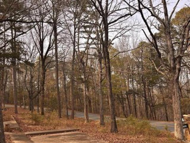 102 Meadowview Ln, Fairfield Bay, AR 72088