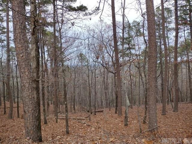 102 Mesero Way, Hot Springs Village, AR 71909