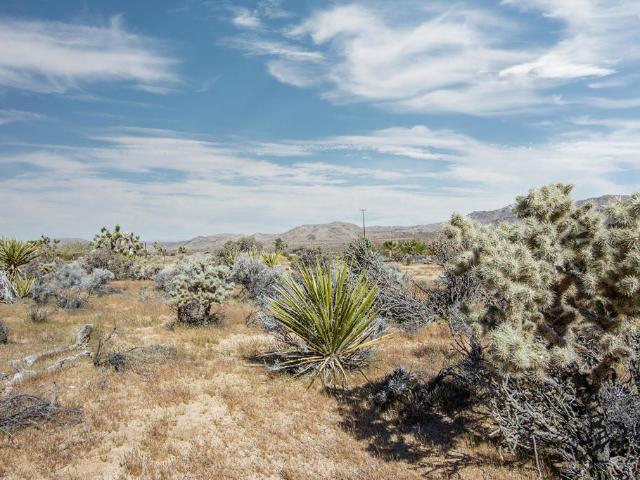 102 Saddleback Road