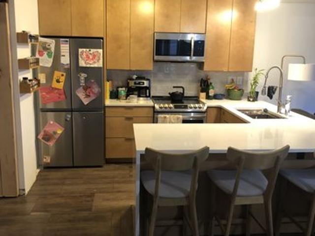 102 Salt Lick Cir Unit 104, Silverthorne, CO 80498