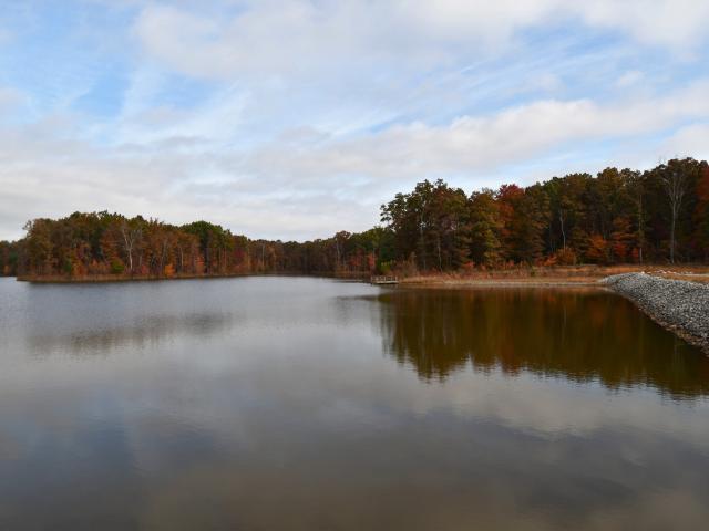 102 Swimming Deer Lot 14B