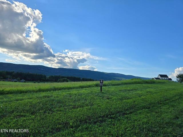 102 Pinnacle Point Lane