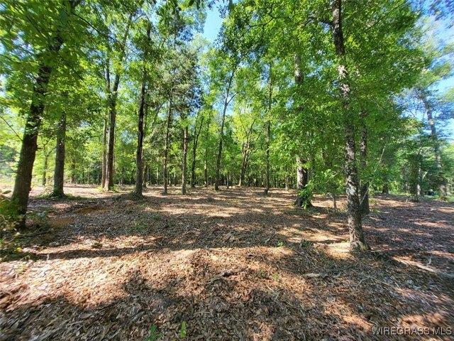 102 Preserve Dr, Enterprise, AL 36330
