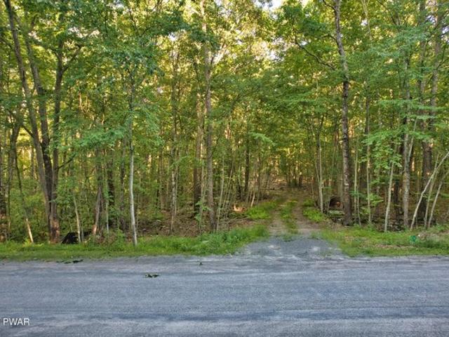102 White Birch Dr, Hawley, PA 18428