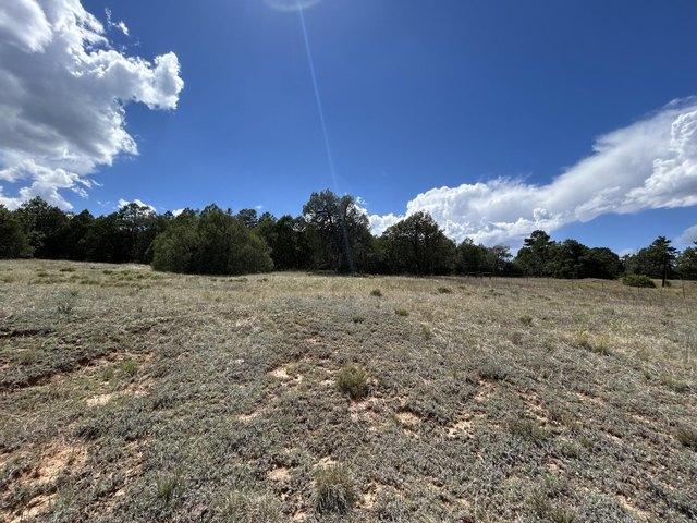10347 NM 337, Tijeras, NM 87059