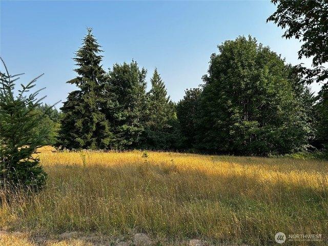 10346 th Ln SW, Rochester, WA 98579
