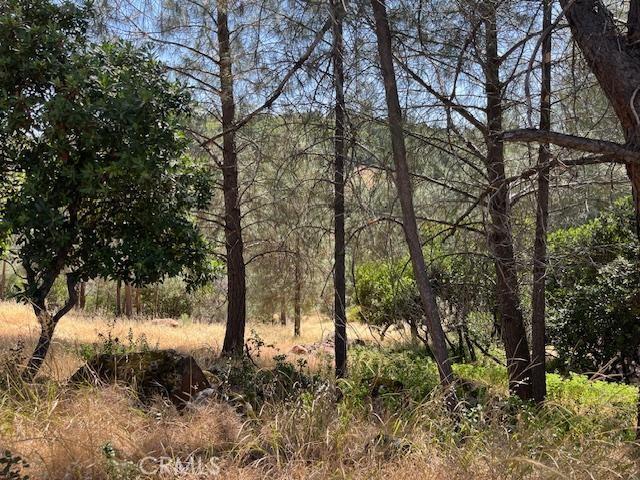 10353 Walnut Way, Kelseyville, CA 95451 | MLS #LC26056 | Compass