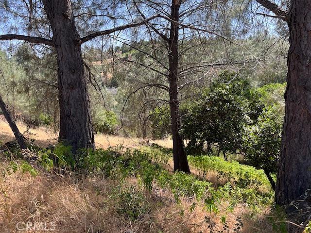 10353 Walnut Way, Kelseyville, CA 95451 | MLS #LC26056