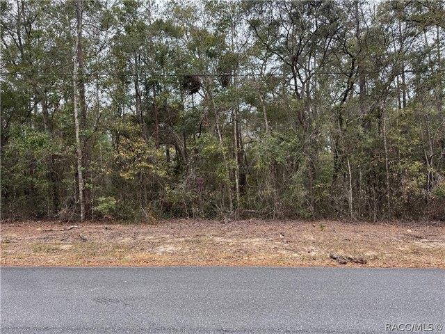 10350 N Academy Dr, Citrus Springs, FL 34434