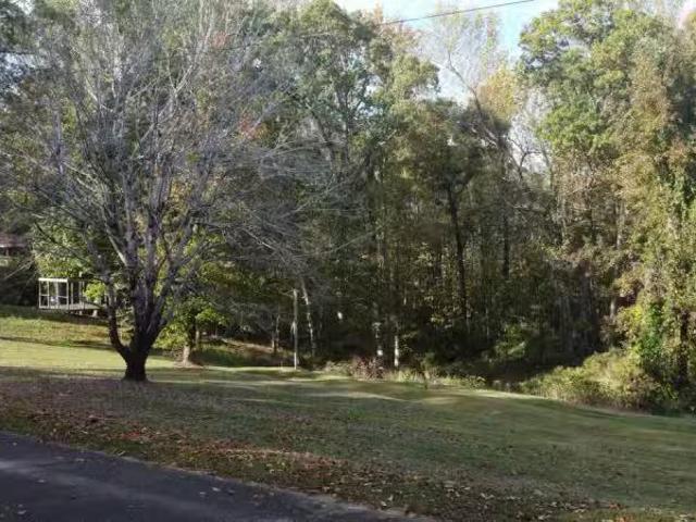 1035 BLAKE DR, DOUBLE SPRINGS, AL 35553 Vacant Land For Sale.