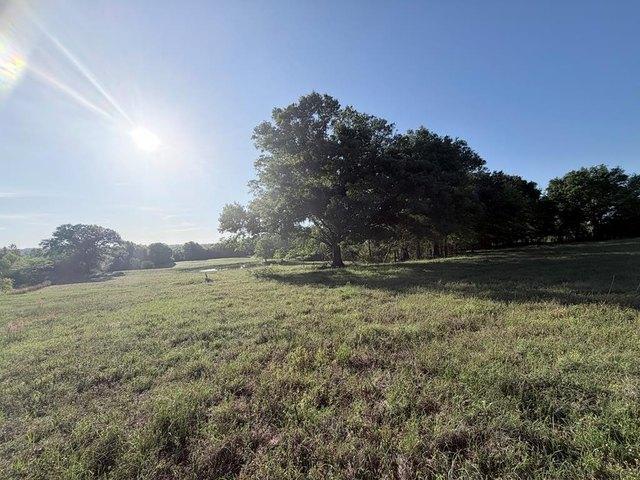1035 County Road 104, Brundidge, AL 36010