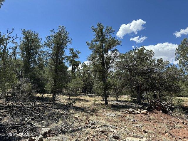 1035C W Whiskey River Rd, Seligman, AZ 86337