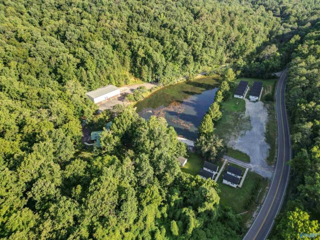 10360 Alabama Highway 227