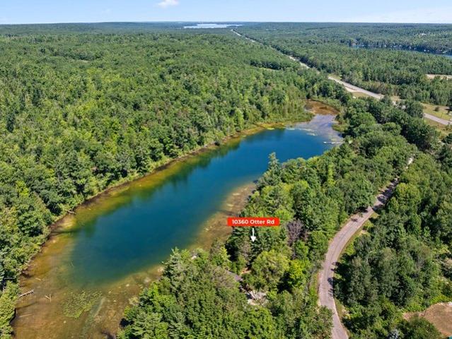 10360 Otter Rd, Gaylord, MI 49735