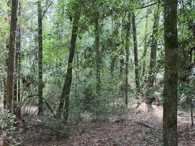 10362 Hunter Creek Lane