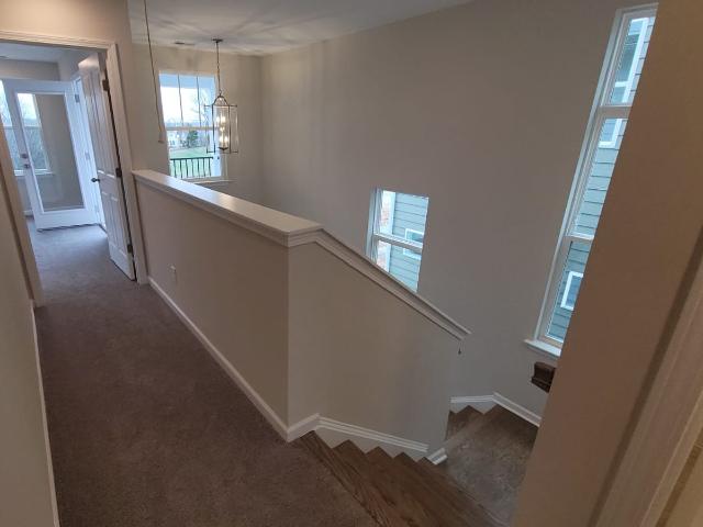1036 Indigo Aly