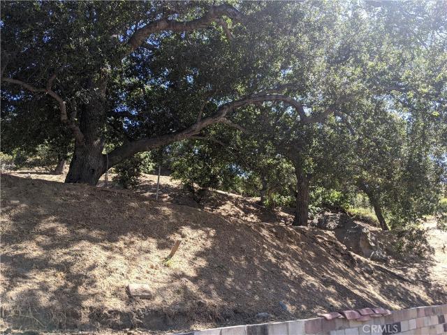 1036 LOMA Lane