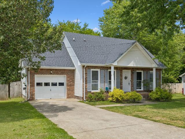 1036 Roedeer Dr