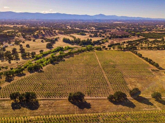 10370 Briggs Rd, Red Bluff, CA 96080