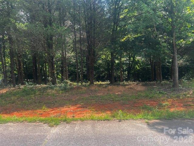 10376 Turnplow Dr Unit 9, Davidson, NC 28036