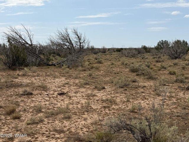 1037 Mira Rd Unit 6, Heber, AZ 85928