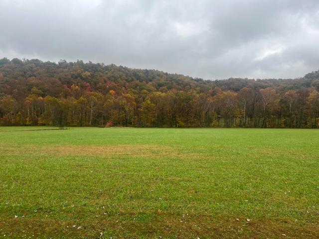1037 Big Salt Lick Creek Road
