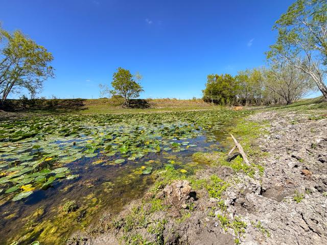 1037 County Road 340