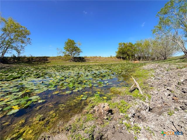 1037 County Road 340
