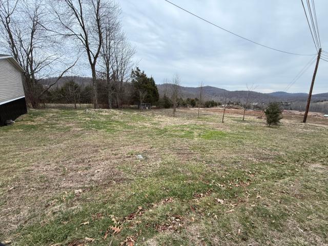 1037 Doc Adams Road