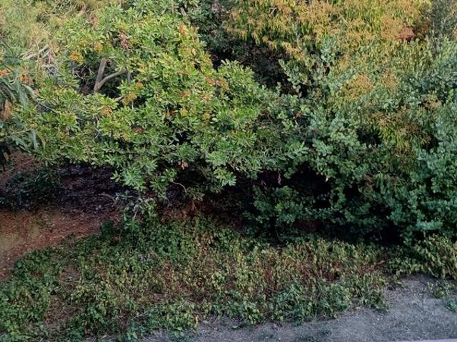 $1037 Room In Vallejo