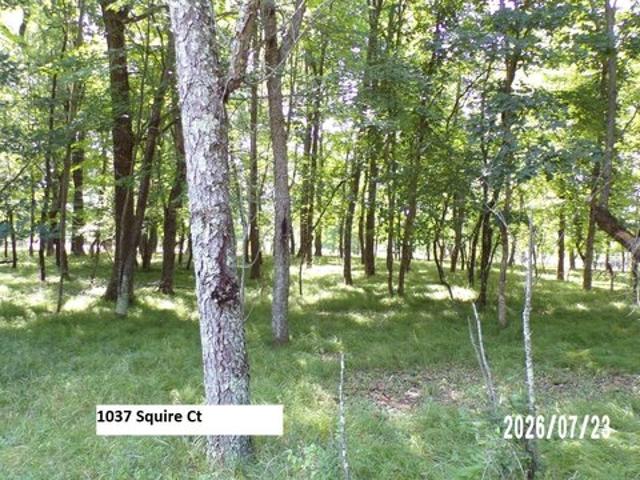 1037 Squire Ct Lot 42, Nekoosa, WI 54457