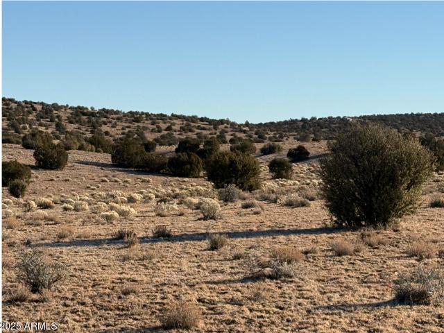 10381 High Butte Dr, Williams, AZ 86046 | MLS #6950