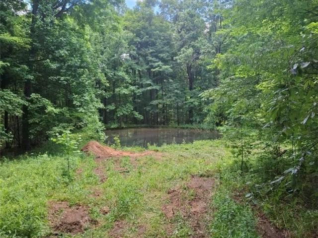 10381 Mulberry Road