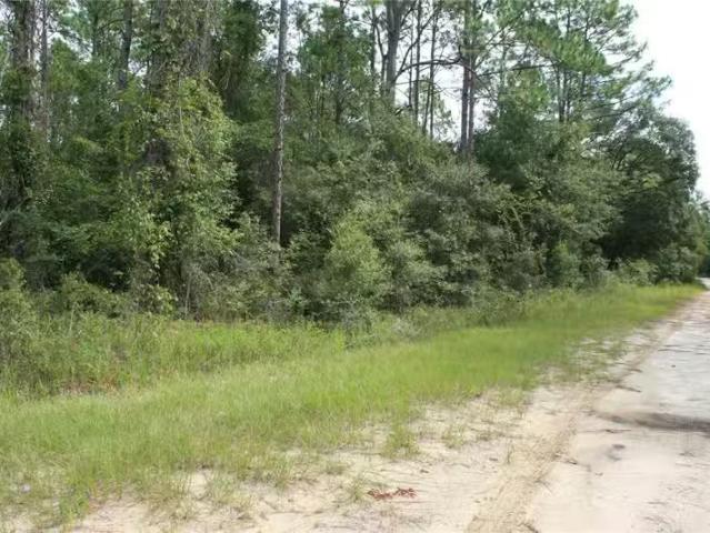 10381 NE 81ST ST, BRONSON, FL 32621 Vacant Land For Sale MLS#.