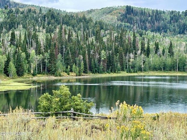 10385 Deer Creek Dr, Heber City, UT 84032