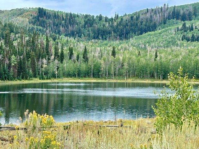 10385 Deer Creek Dr Unit 2, Heber City, UT 84032