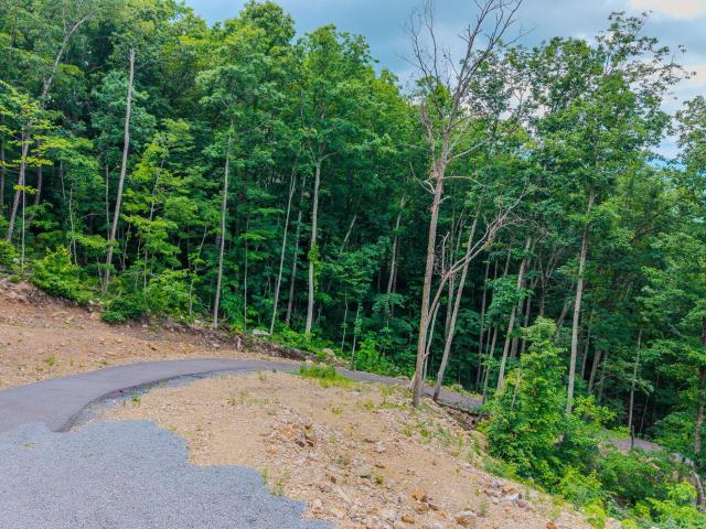 1038 Clingmans View