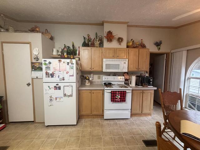 1038 Spicewood Branch Rd