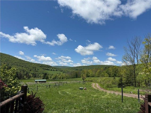 1039 Mountain Brook Rd, Bovina Center, NY 13740