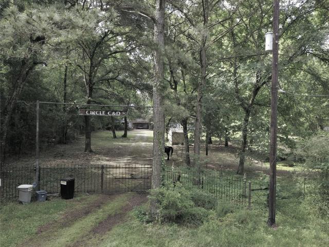 10303 Pecan Hollow Rd, Magnolia, TX 77354 | MLS #35296