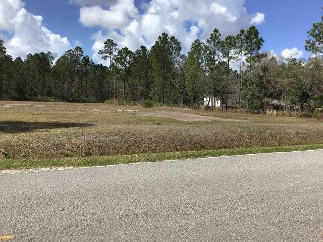 10305 Allison Ave, Hastings, FL 32145