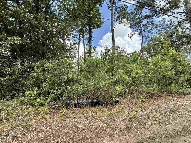 1030 Butler Rd, Vidor, TX 77662